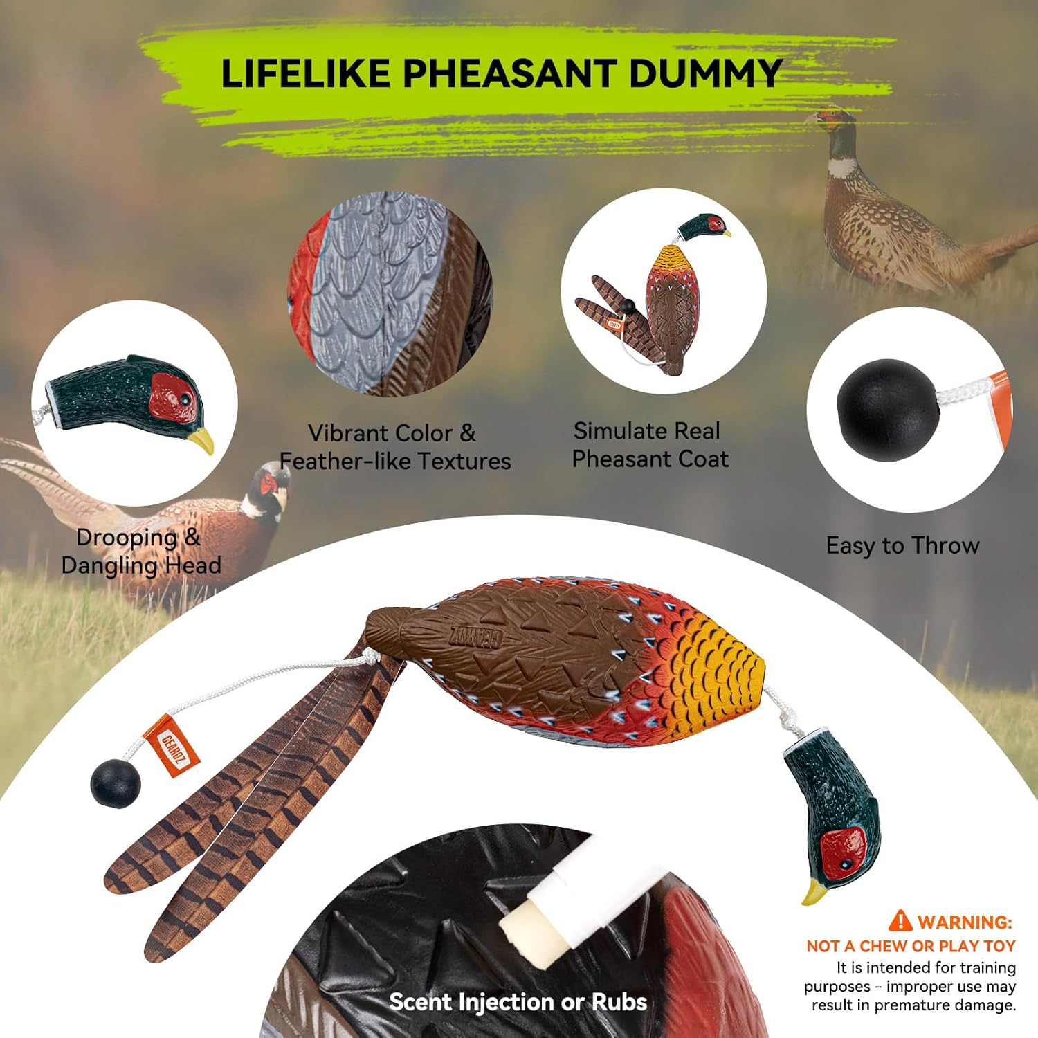 Top Traits And Breeds For The Ultimate Chukar Hunting Dog Companion | Riosc