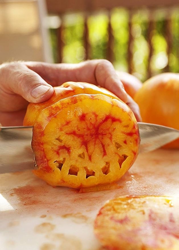 Seed Package: 1.67g Mr. Stripey Tomato Seeds ~ sk Yellow Pink Orange ...