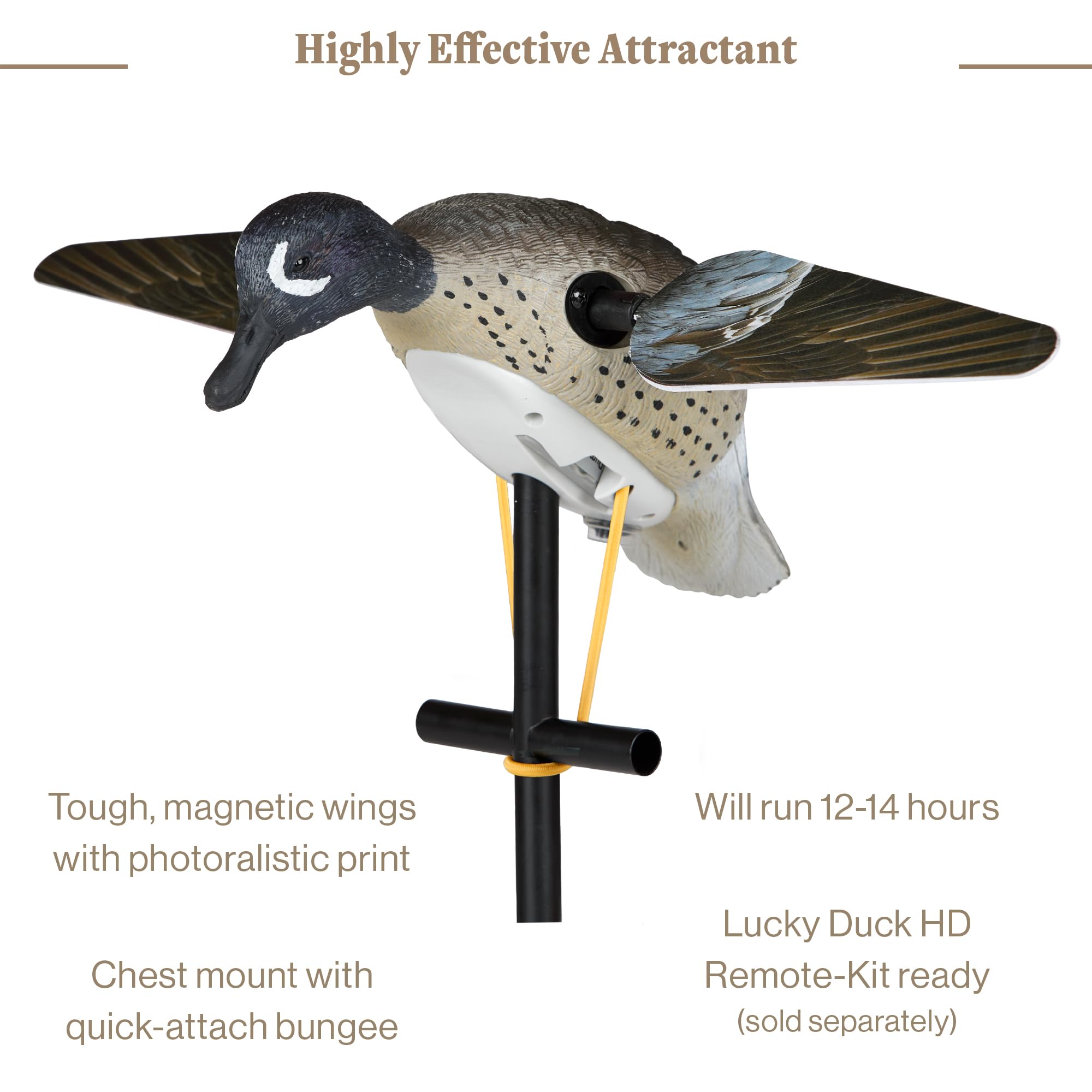 Snapklik.com : Lucky Duck Spinning Wing Motion Duck Decoys For Hunters