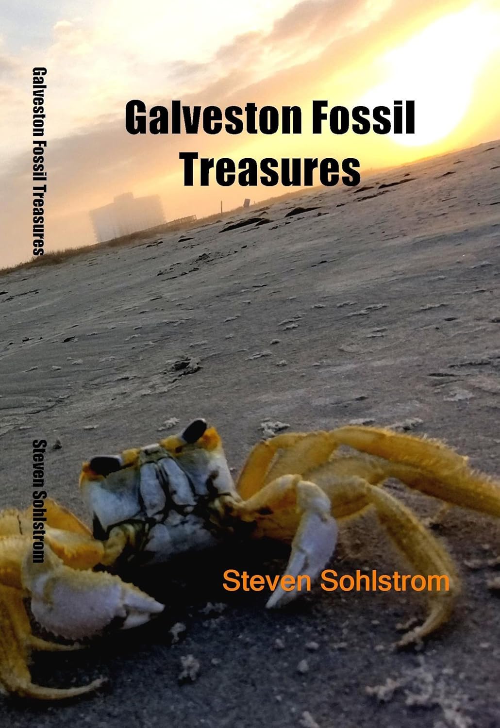 Galveston Fossil Treasures : A Beachcomber's Scavenger Hunt 1 ...
