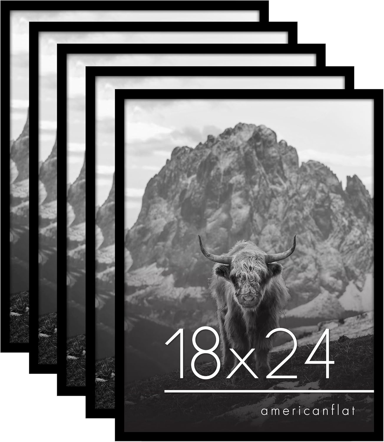 Amazon.com: Americanflat 18x24 Poster Frame with Polished Plexiglass ...