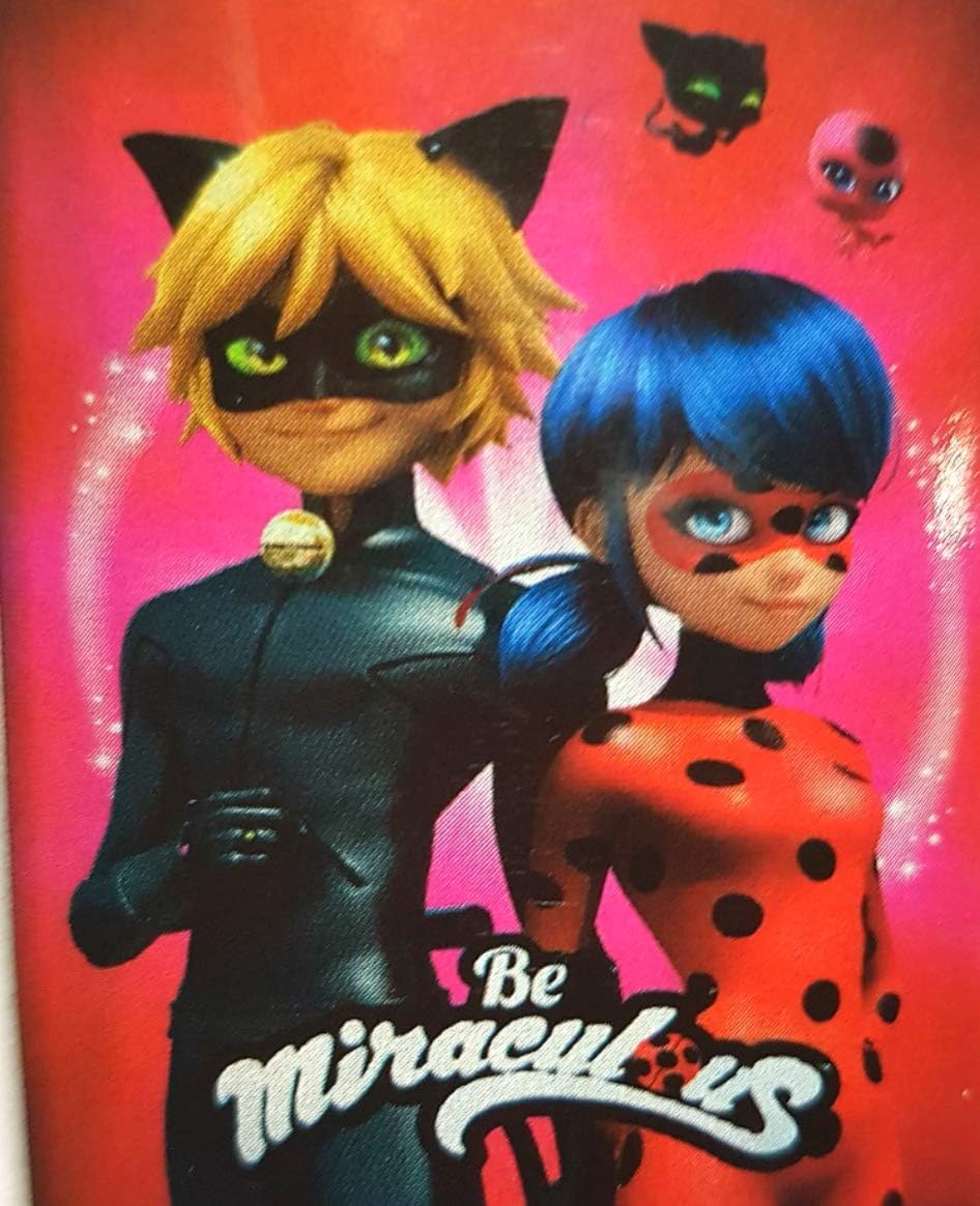 Amazon.com: Miraculous Ladybug and Cat Noir Throw Blanket 100x140 cm ...