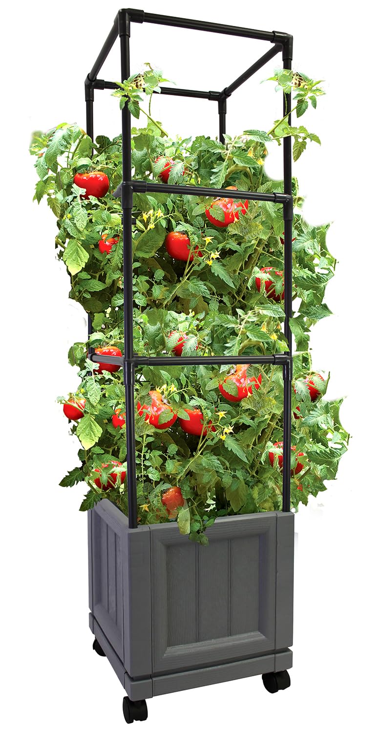 Amazon.com: City Picker's XL Trellis Tower : Everything Else