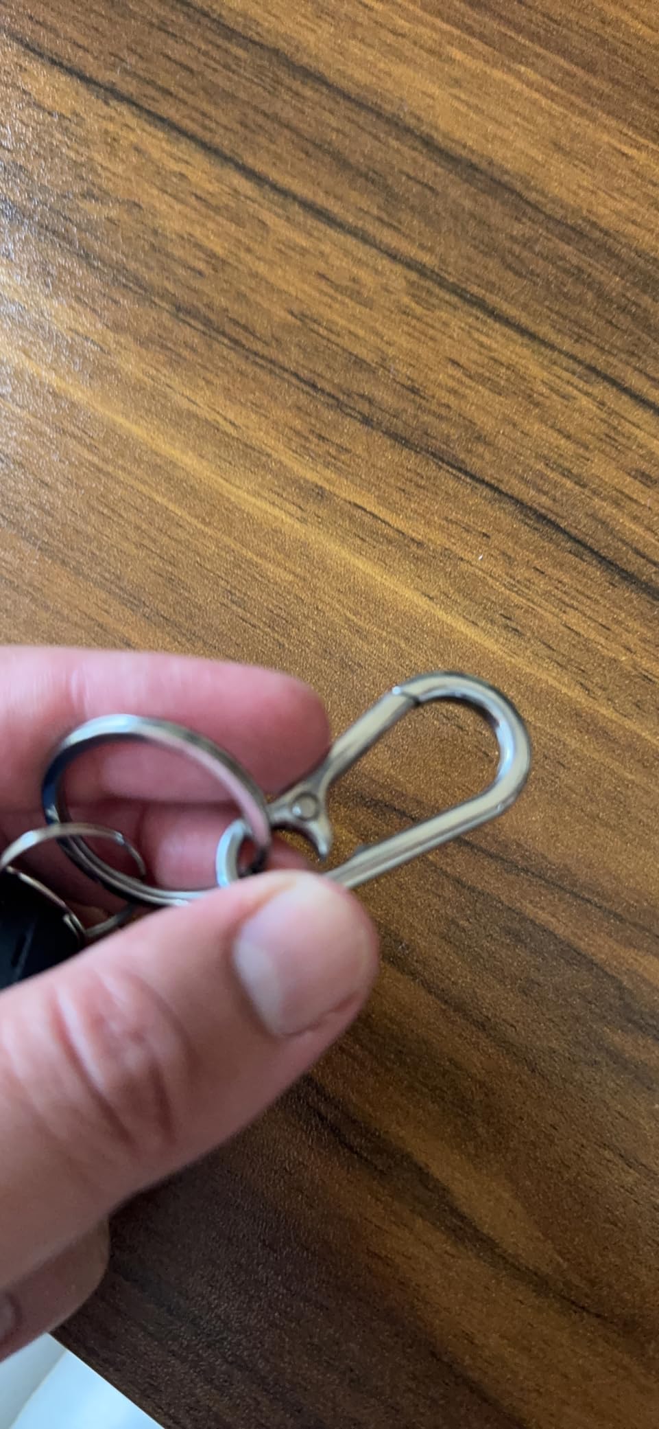 WLLHYF 2 Pieces Metal Keychain Carabiner Clip Key Ring Chain Holder ...