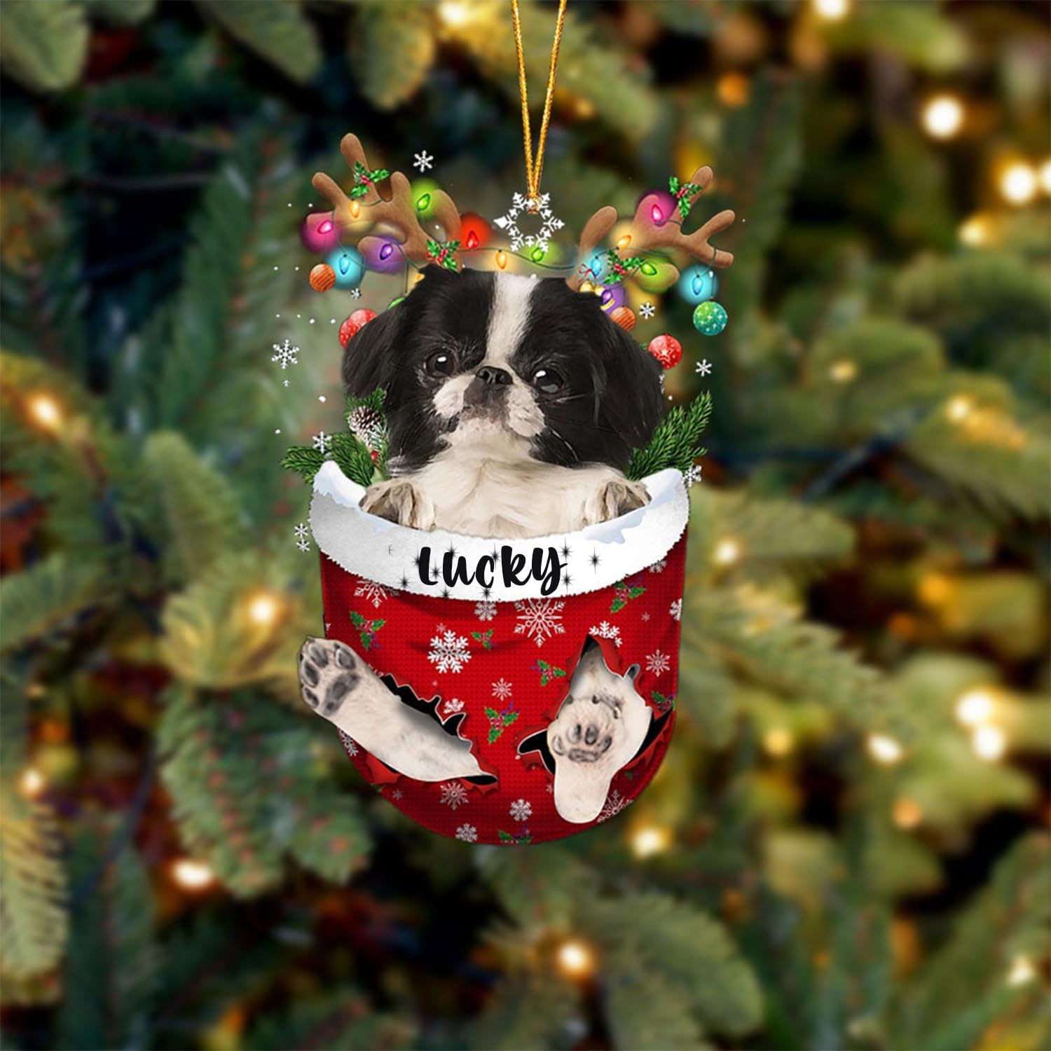 Amazon.com: Japanese Chin 2 Dog Christmas Ornament, Japanese Chin 2 in ...