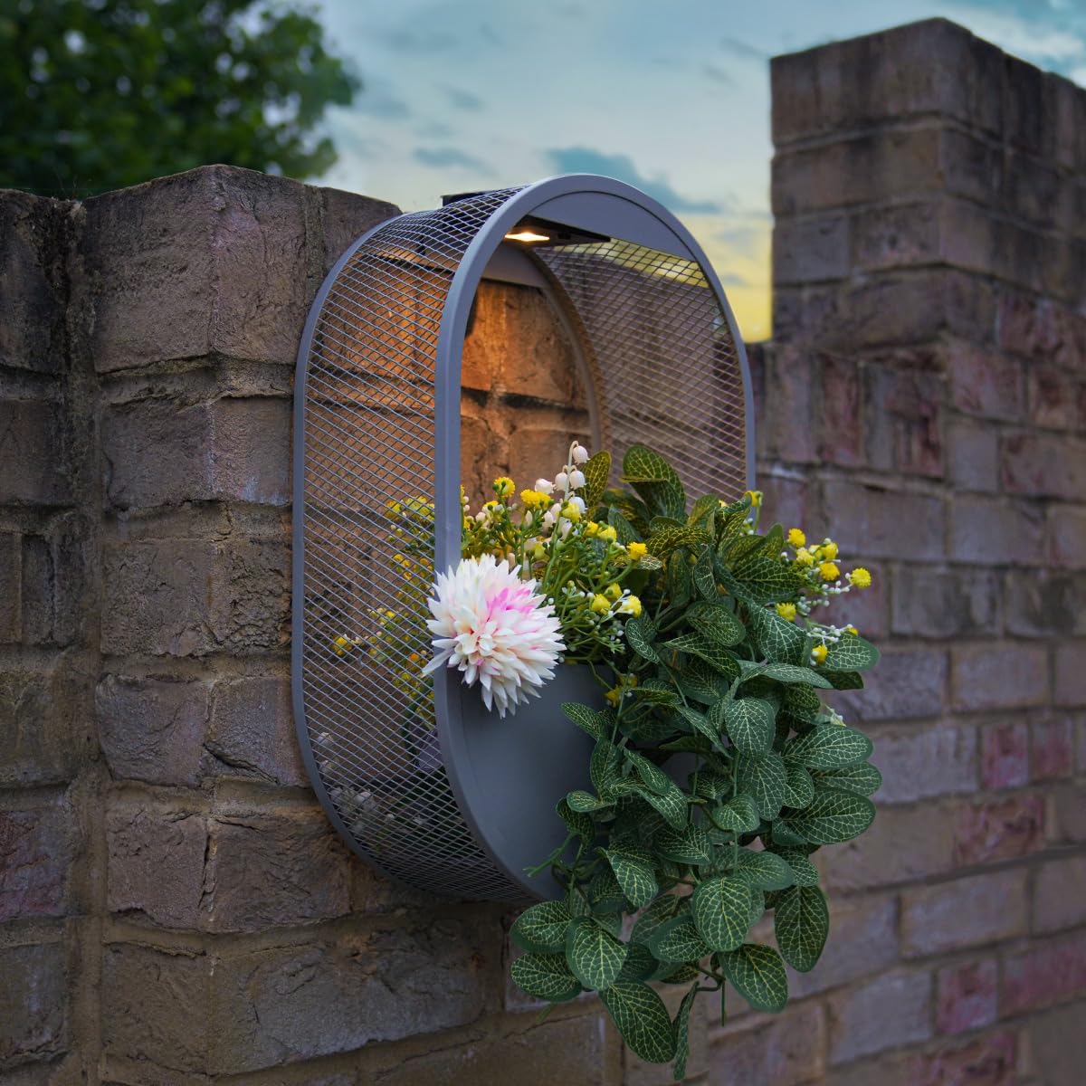 set of 3 Metal Wall Planters,2 in 1 Terrarium & Iron Round Hanging Wall ...