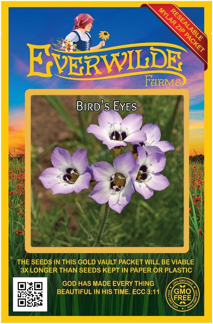 Amazon.com : 500 Sensitive Partridge Pea Flower Seeds Chamaecrista ...