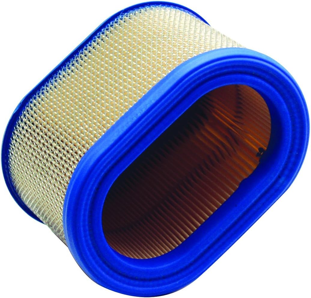 Amazon.com: Briggs & Stratton 695302 Oval Air Filter Cartridge : Automotive