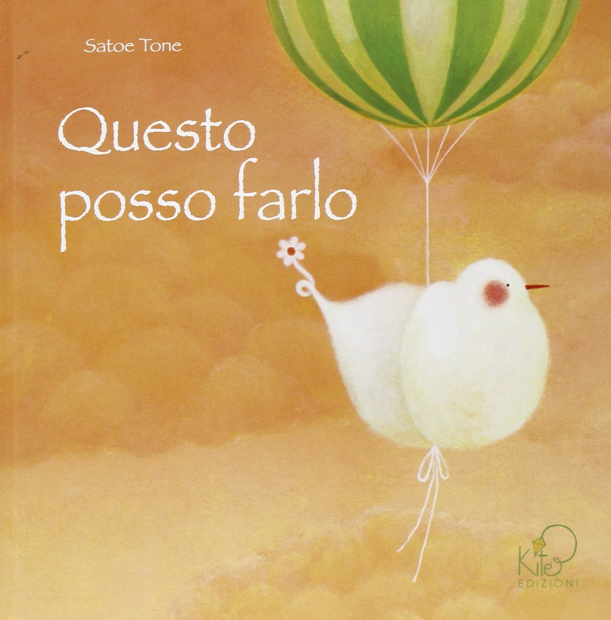 Tone, S: Questo posso farlo: Satoe Tone: 9788867450367: Books - Amazon.ca
