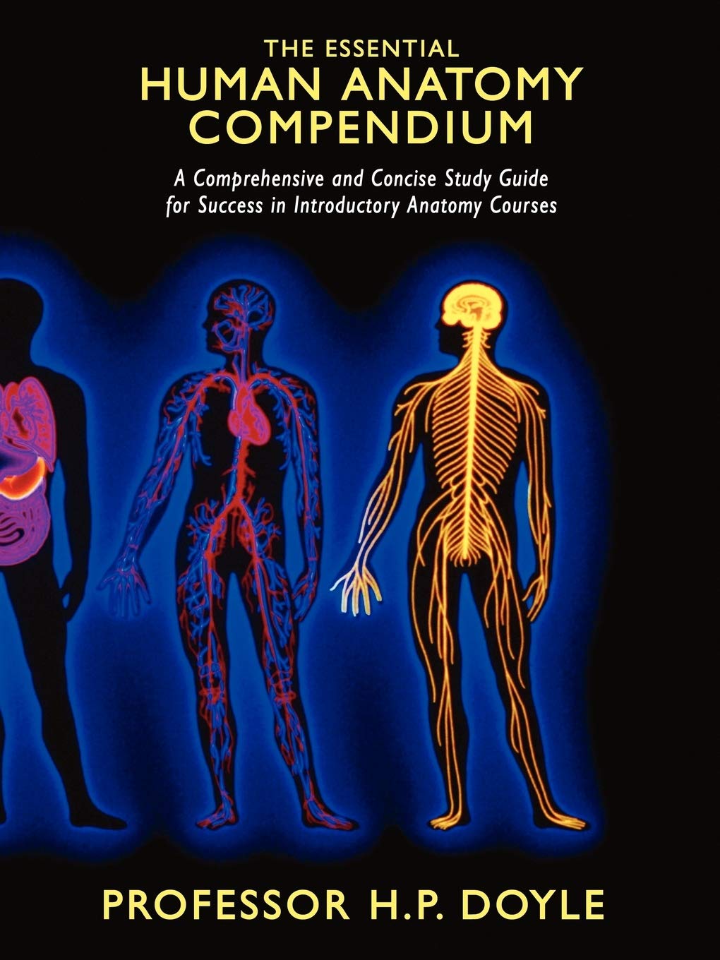 The Essential Human Anatomy Compendium: A Comprehensive and Concise ...