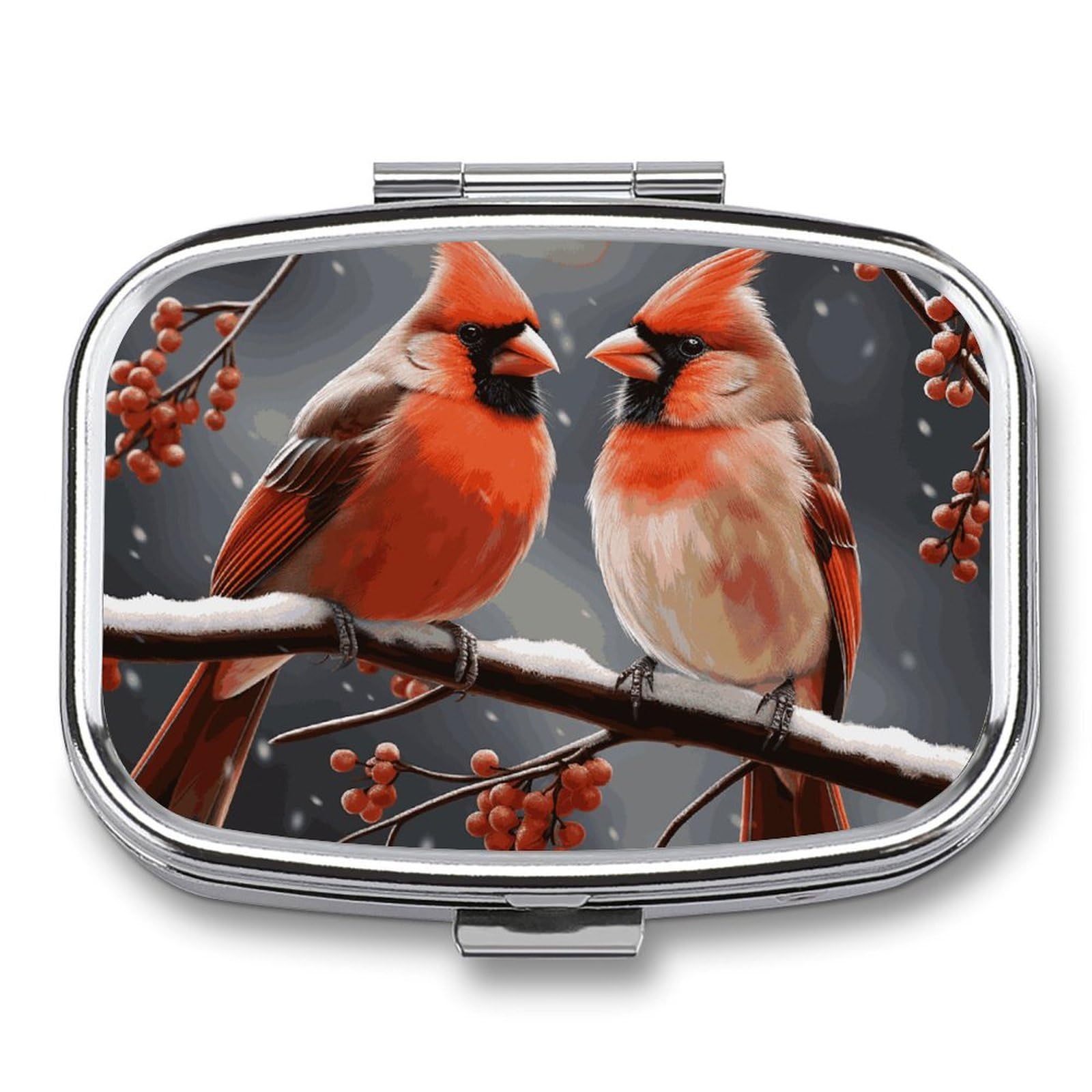 Pill Box 2 Compartment Pill Organizer Cute Cardinal Birds Travel Pill ...