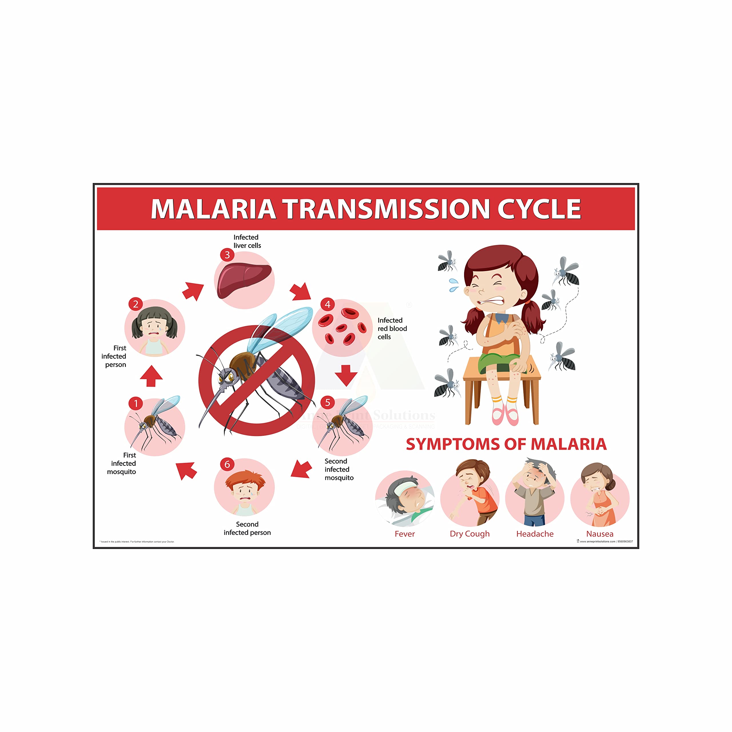 Anne Print Solutions® Malaria transmission cycle chart Poster For Hospital Posters | Nursing ...