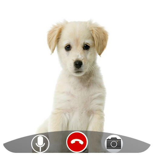 Dog Live Video Call - App on Amazon Appstore