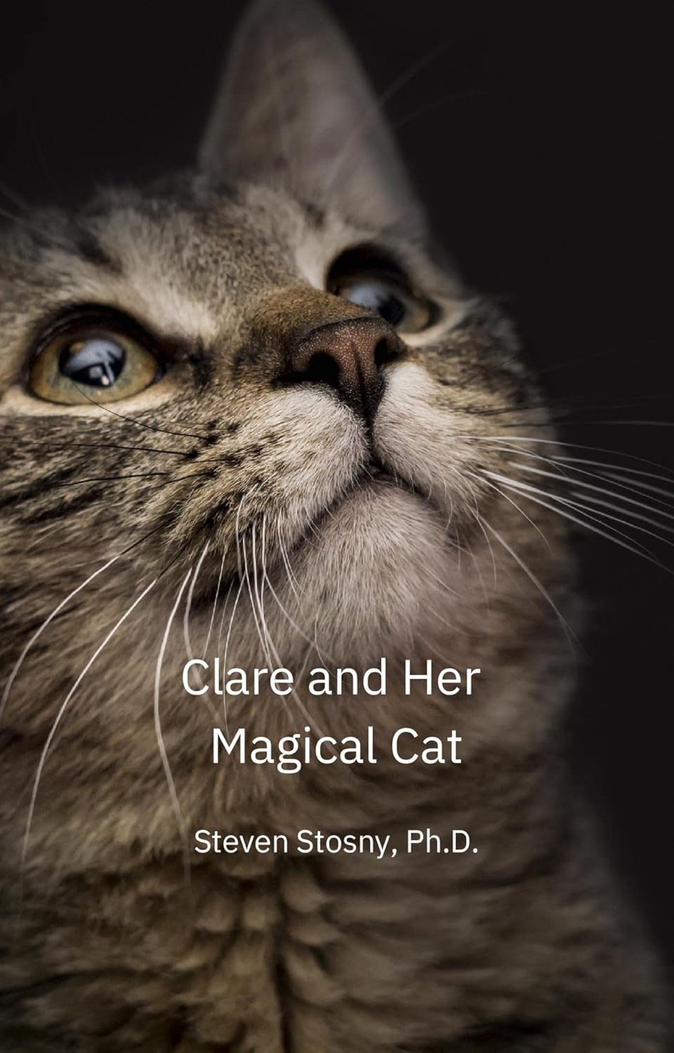 Amazon.com: Clare and Her Magic Cat (Clare and the Magic Presley) eBook ...
