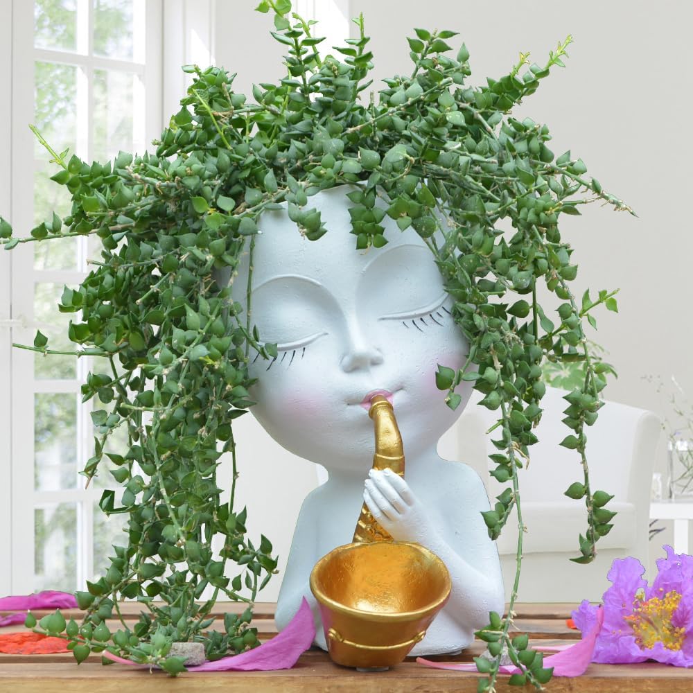 Amazon.com : Sax Face planter, Head Planter, Indoor Plant Pots, Lady ...