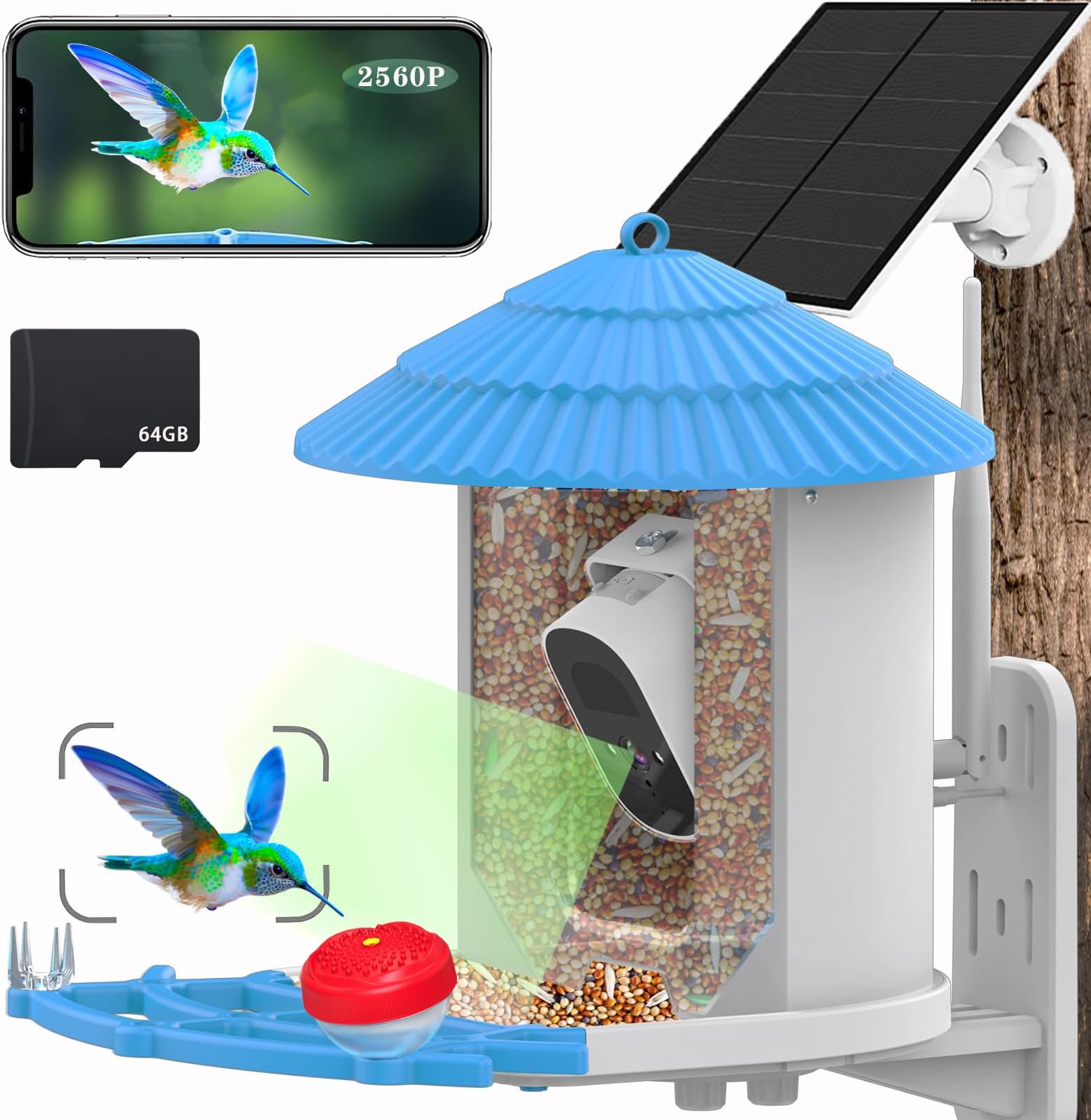 Amazon.com : lollyes AI Smart Bird Feeder Camera with 64G Card, 1080P ...