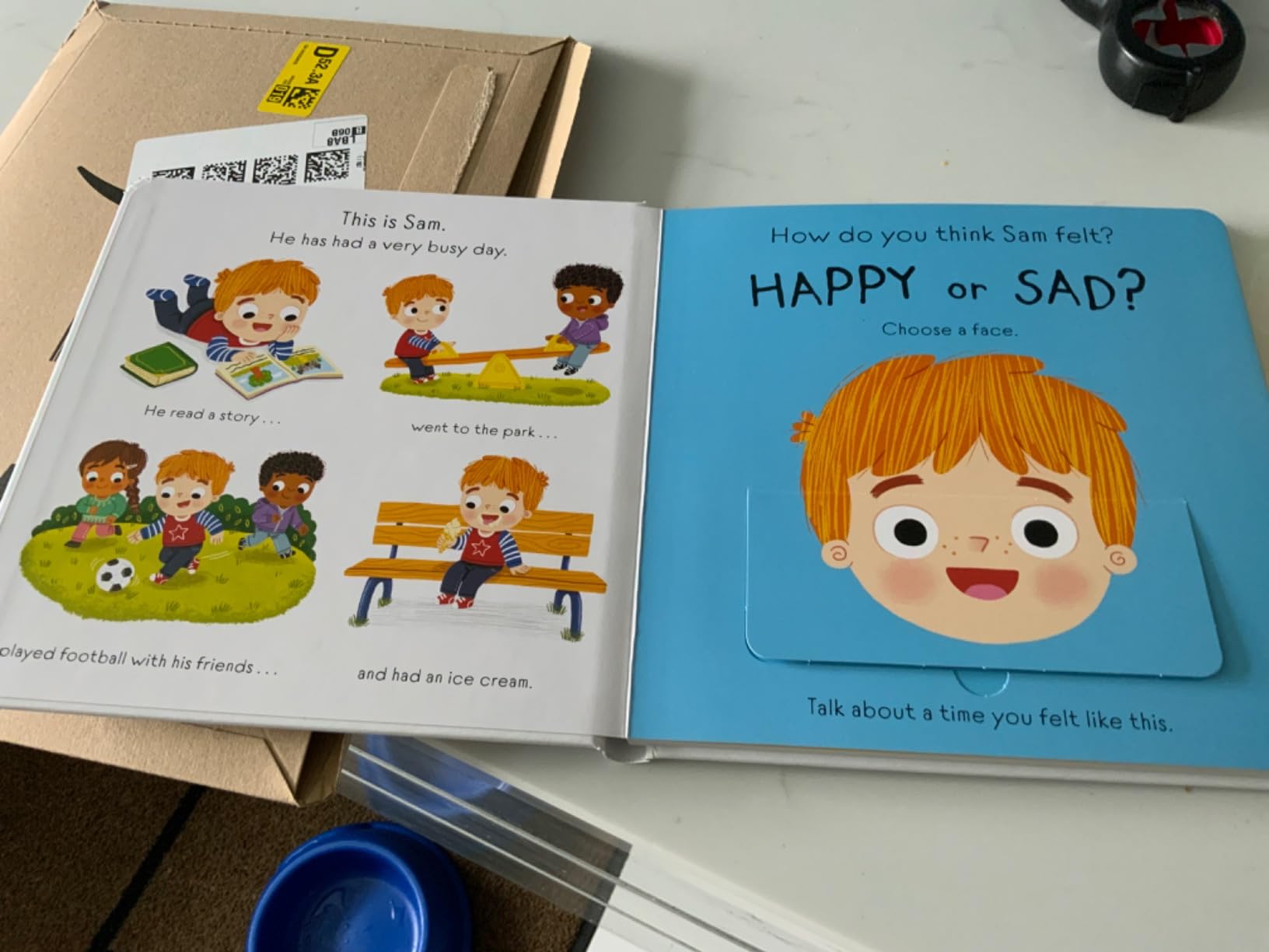 Feelings: A lift-the-flap board book of emotions: Amazon.co.uk: Pat-a ...