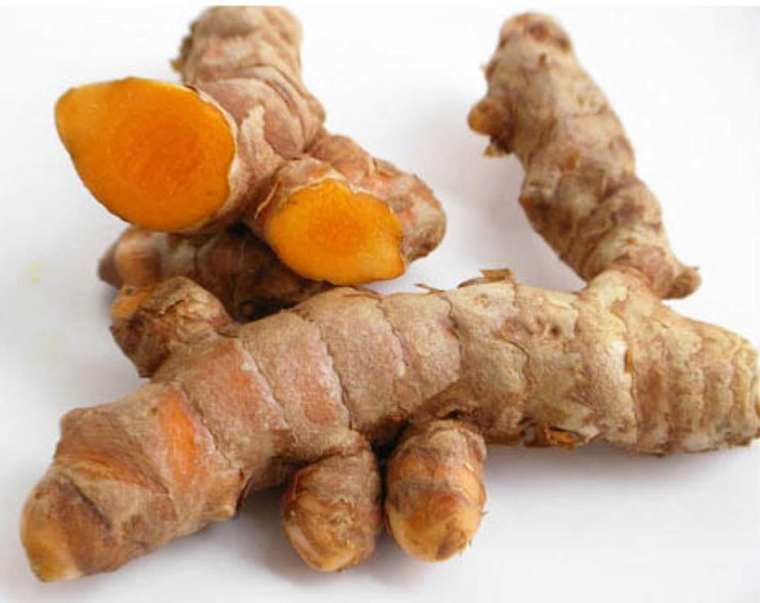 SS Naturals Turmeric,Curcuma Longa, Saffron des indes,Haldi Rhizomes ...