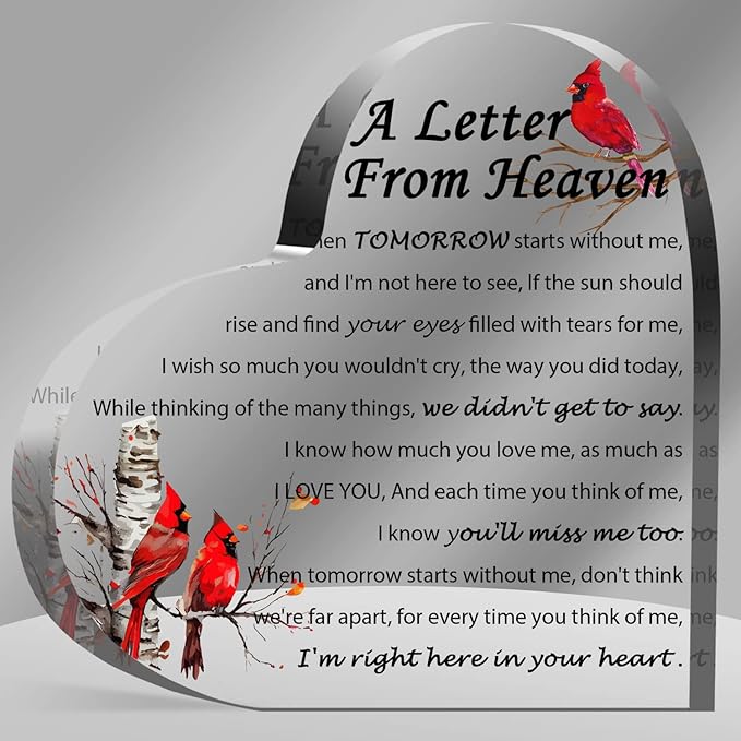 Amazon.com: Sympathy Gifts, Red Cardinal Gifts - A Letter from Heaven ...
