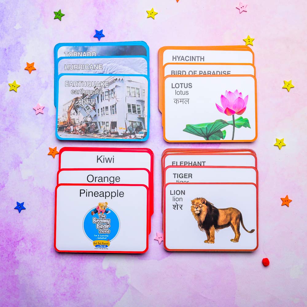 Buy Brainy Bear Flash Cards for 2-5 Years Old Kids | Early Learning ...