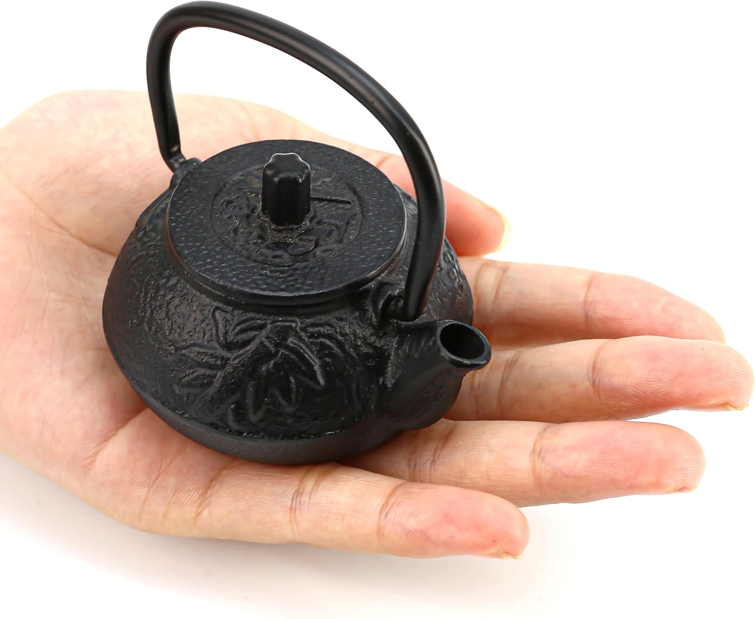 Amazon.com | 50ml(1.7oz) Mini Cast Iron Teapot, Imitation Japanese ...