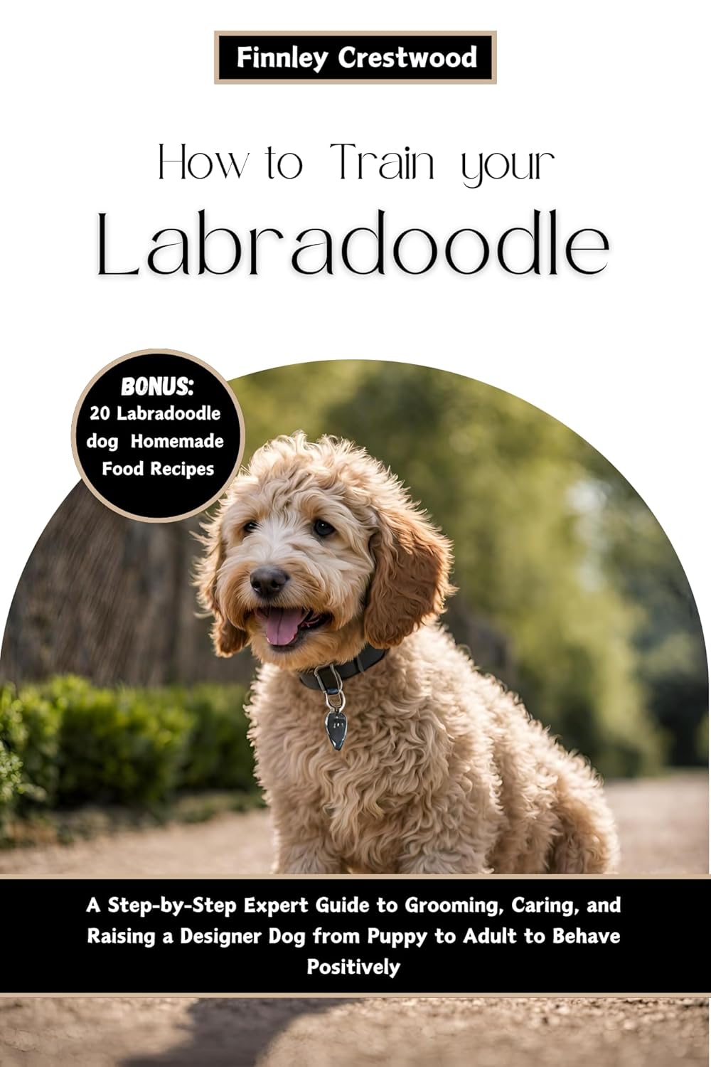 How to Train Your Labradoodle: A Step-by-Step Expert Guide to Grooming ...