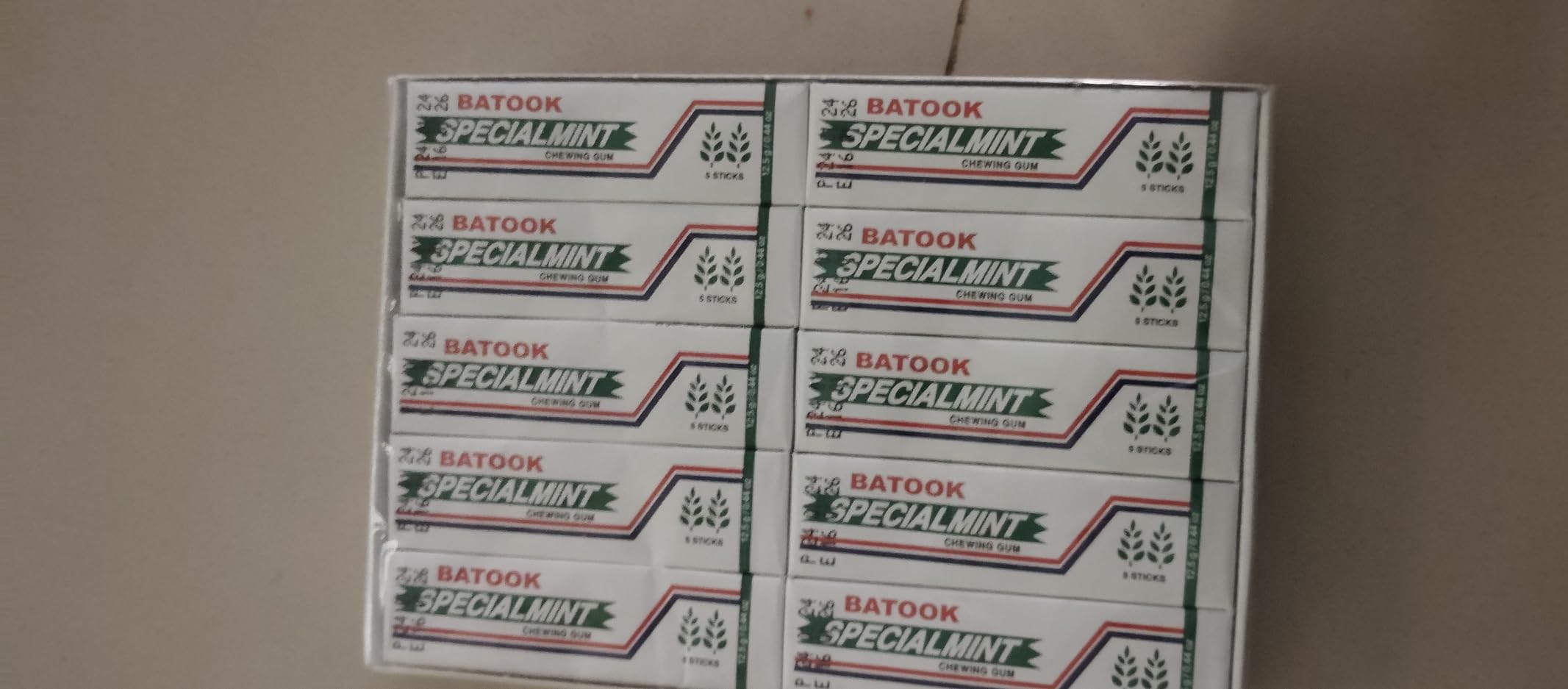 Batook 5 Sticks Special Mint Gum, 20 X 12g - Pack of 1 : Amazon.in ...