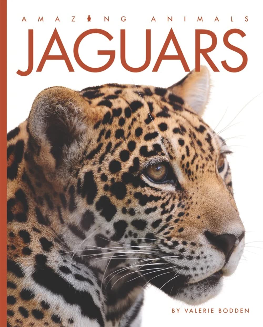 Amazing Animals: Jaguars: Bodden, Valerie: 9780898127881: Amazon.com: Books