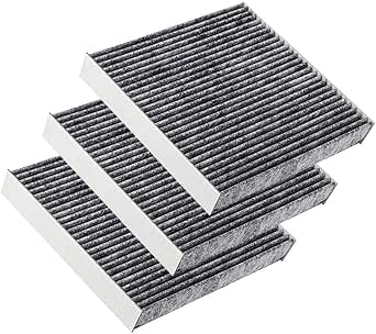 Amazon.com: CP134 CF10134 Premium Cabin Air Filter includes Activated ...