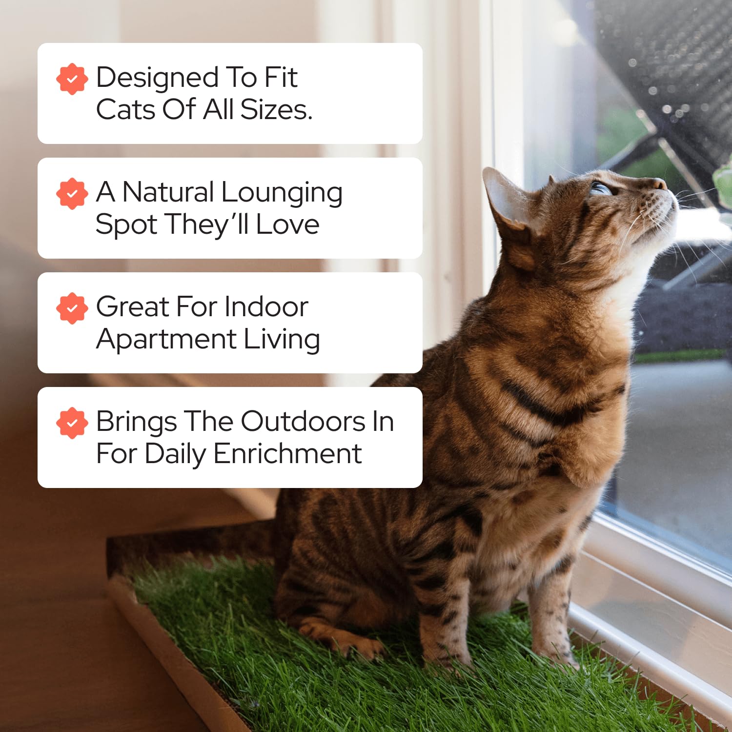 Snapklik.com : Kitty Lawn Real Grass Cat Window Perch - Natural Indoor ...