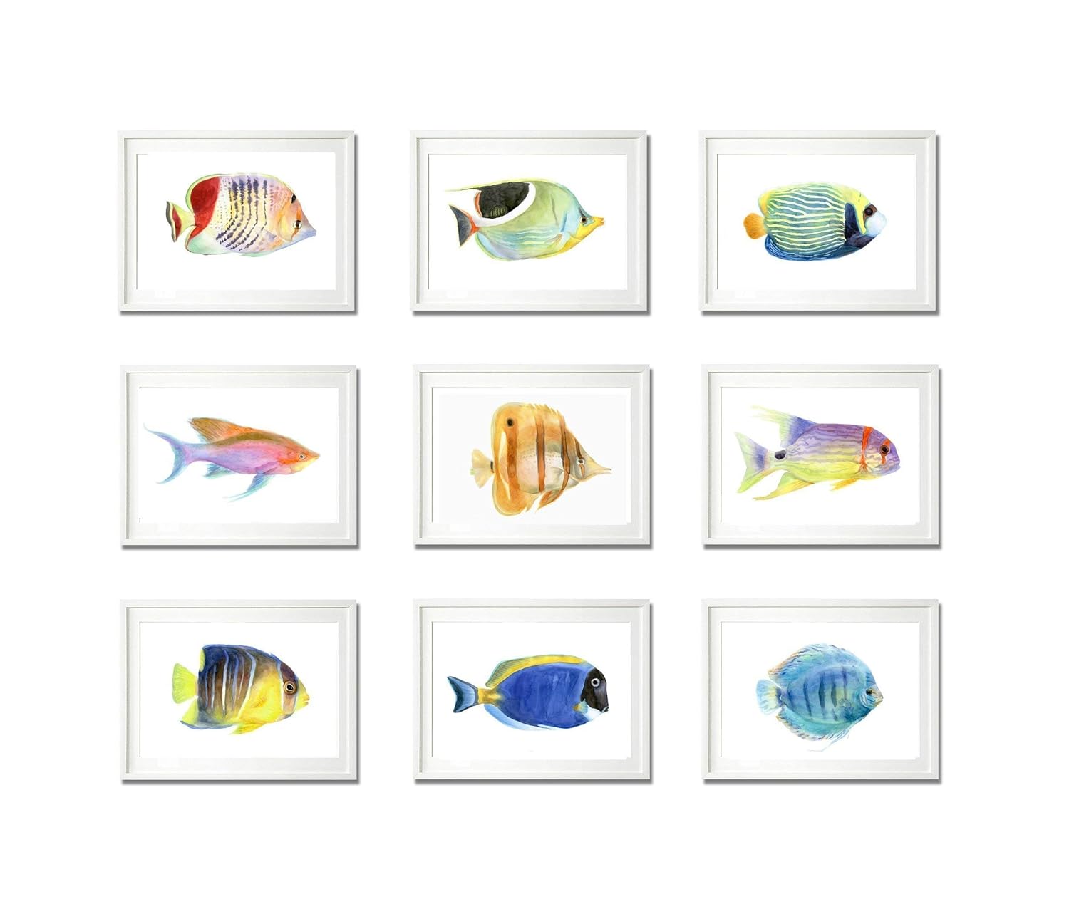 Amazon.com: Set Of 9 Wall Art, Fish Painting Print, Animal Painting for ...