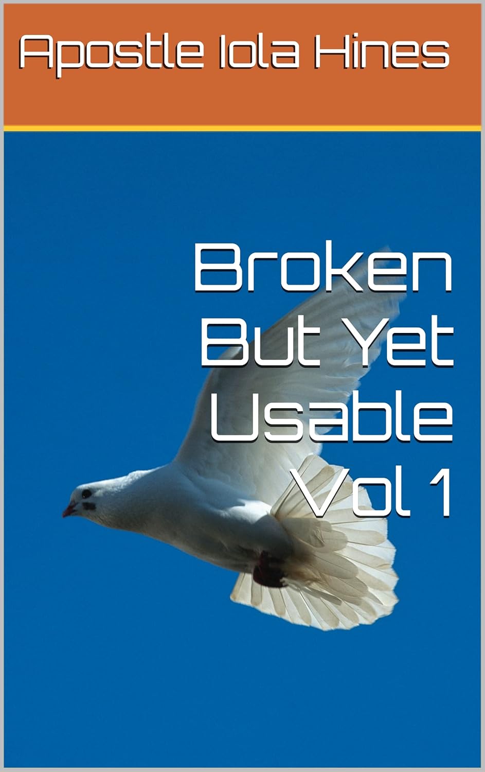 Broken But Yet Usable Vol 1 (The Making of An Apostle) eBook : Hines ...