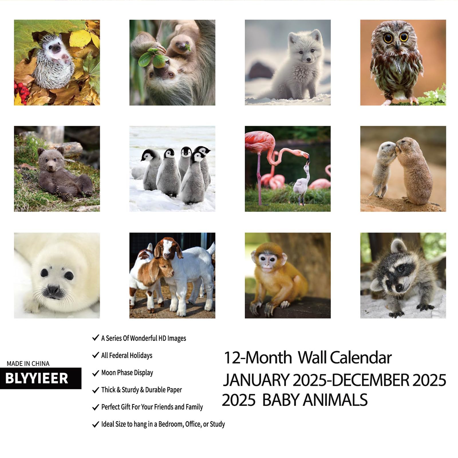 Snapklik.com : 2025 Wall Calendar,Calendar 2025,Baby Animals Monthly ...