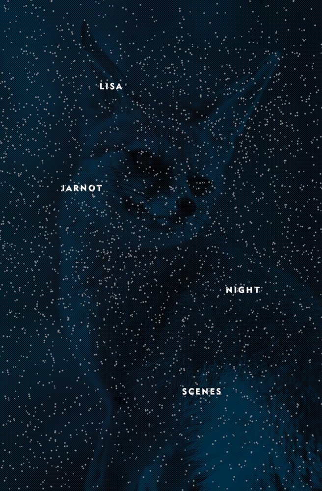 Night Scenes (Flood Editions): Jarnot, Lisa: 9780978746766: Amazon.com ...
