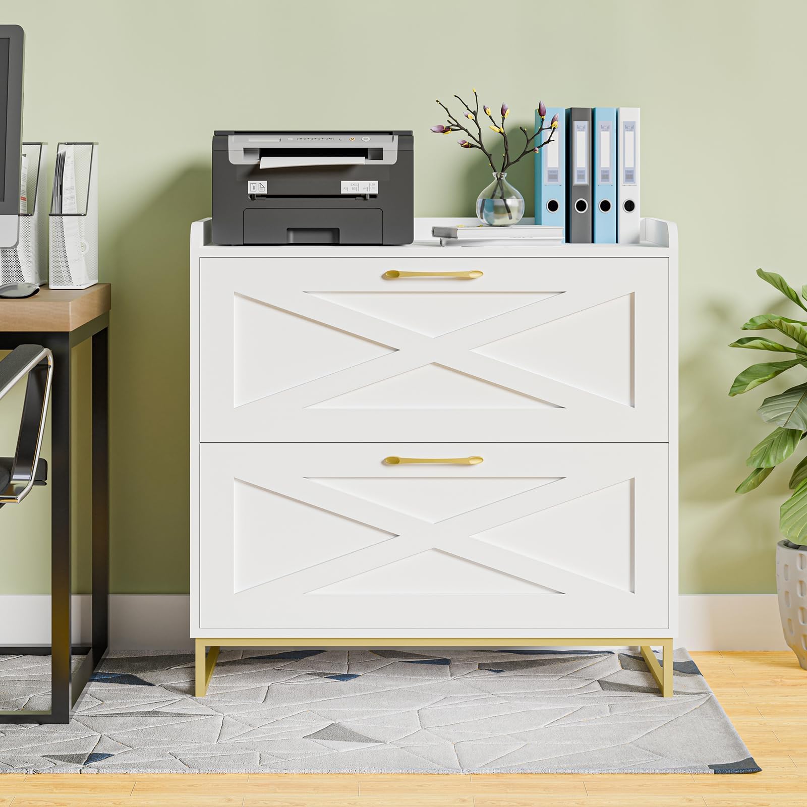 Amazon.com: 2 Drawer Lateral File Cabinet, Filing Cabinet with Charging ...