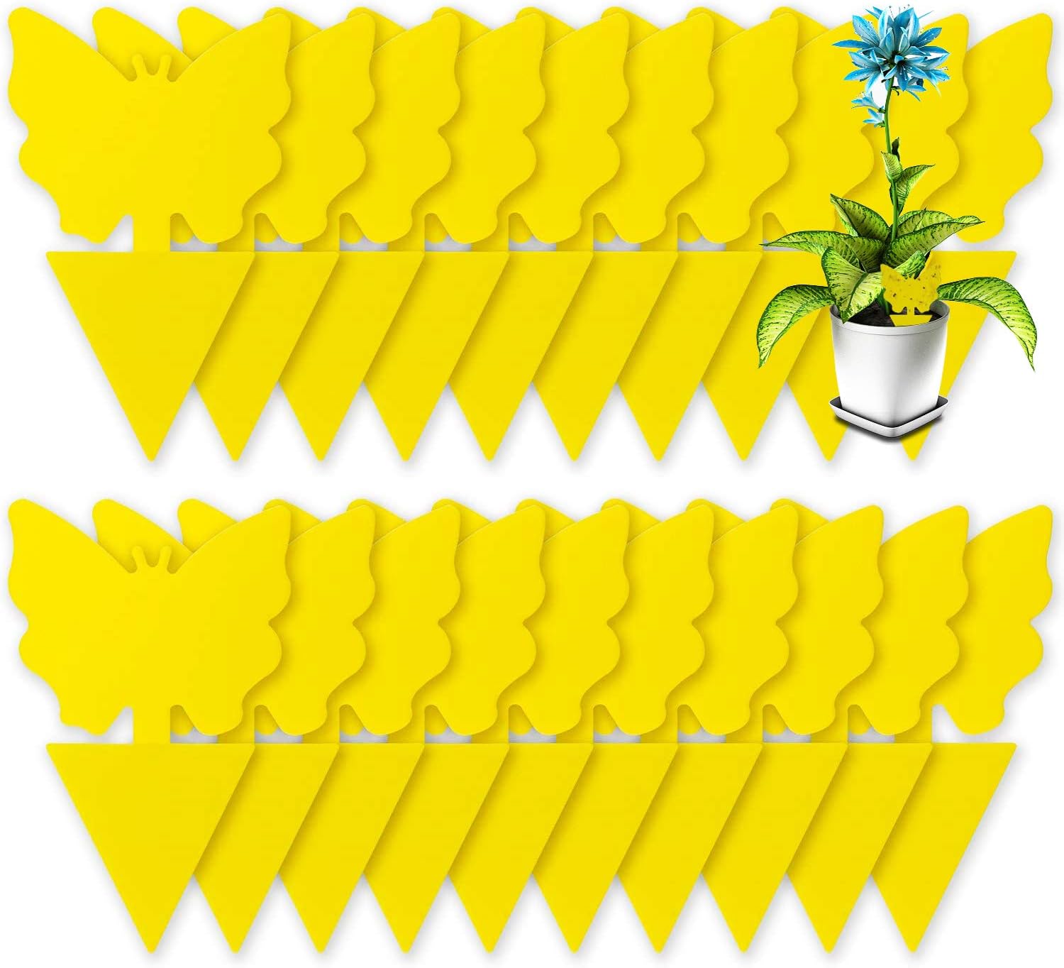 Amazon.com : Houseplant Sticky Stakes - Yellow Sticky Traps for Gnats ...