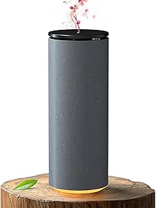 Amazon.com: Cooper Bliss Waterless Diffuser for Essential Oils, Pure ...