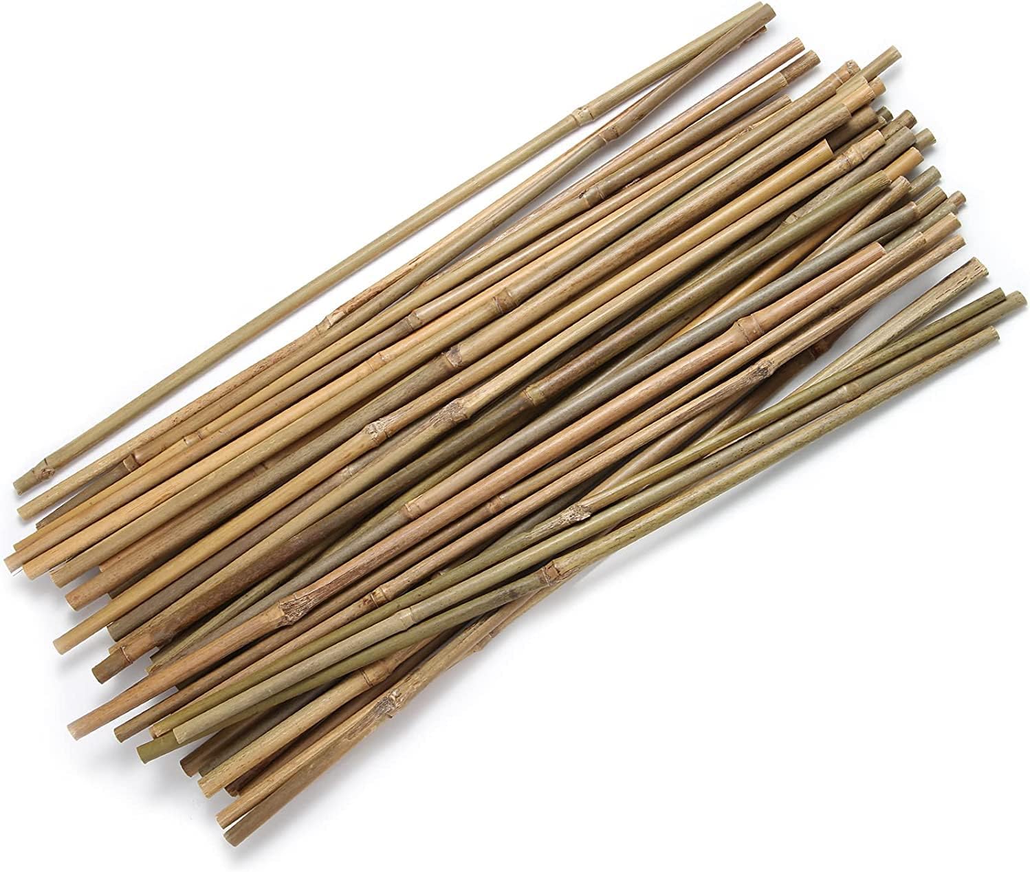 Xfopz 20 Pcs Plant Stakes Green Adjustable Garden Single Stem Plant ...