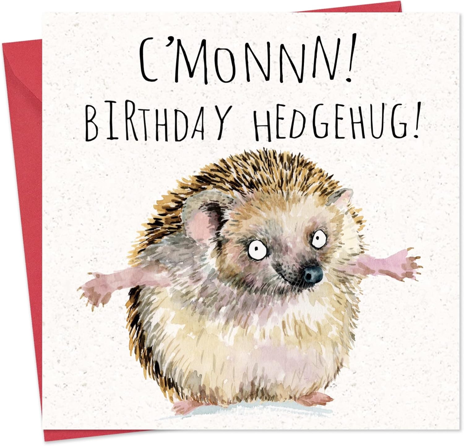 Amazon.com : Twizler Funny Birthday Card Hedgehog – Funny Card – Happy ...