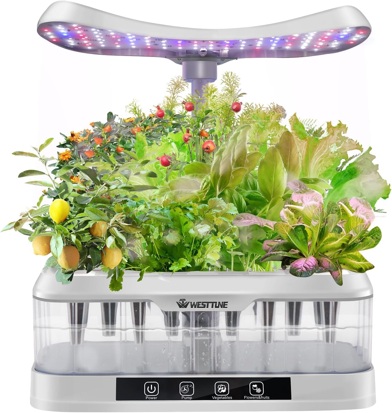 Amazon.com: WEST TUNE 12 Pods Hydroponics Growing System, Transparent ...