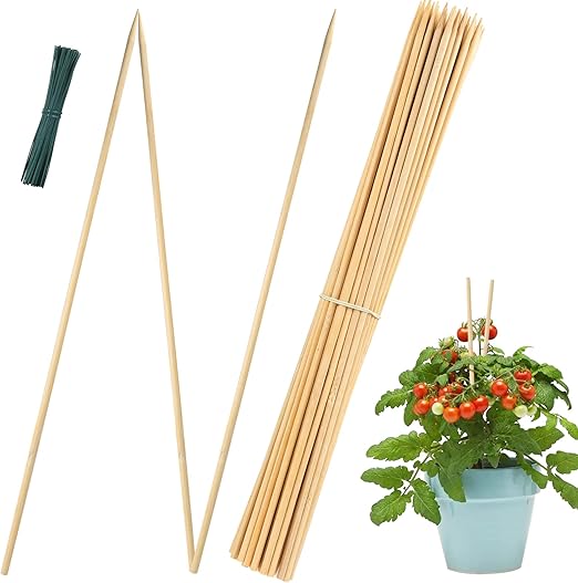Amazon.com : 50 Pack 15.8 inch Plant Stakes,Bamboo Plant Sticks Support ...