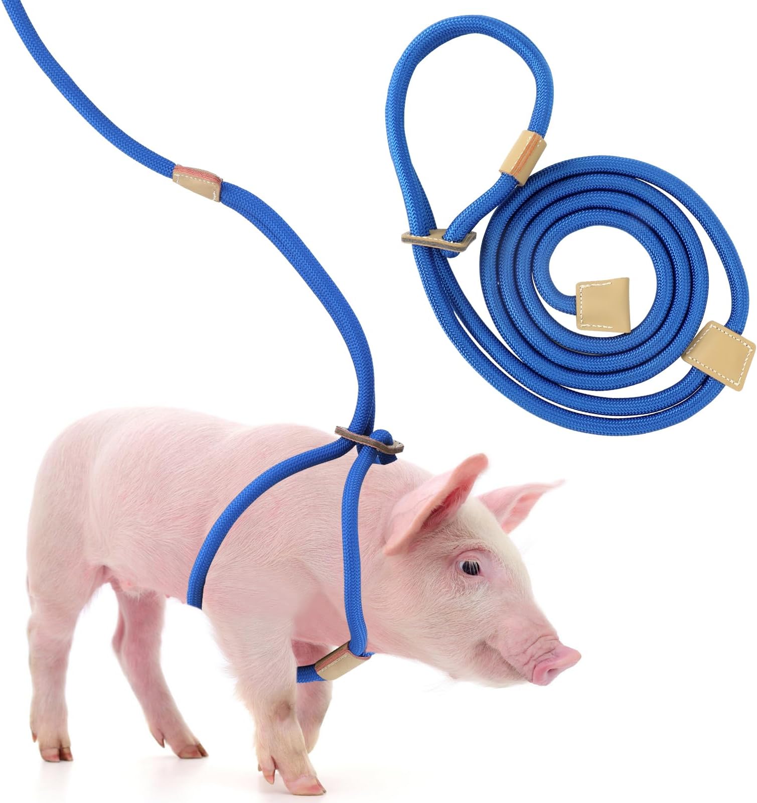 Amazon.com : Mini Pig Adjustable Harness Leash for Hog Piggy and Other ...