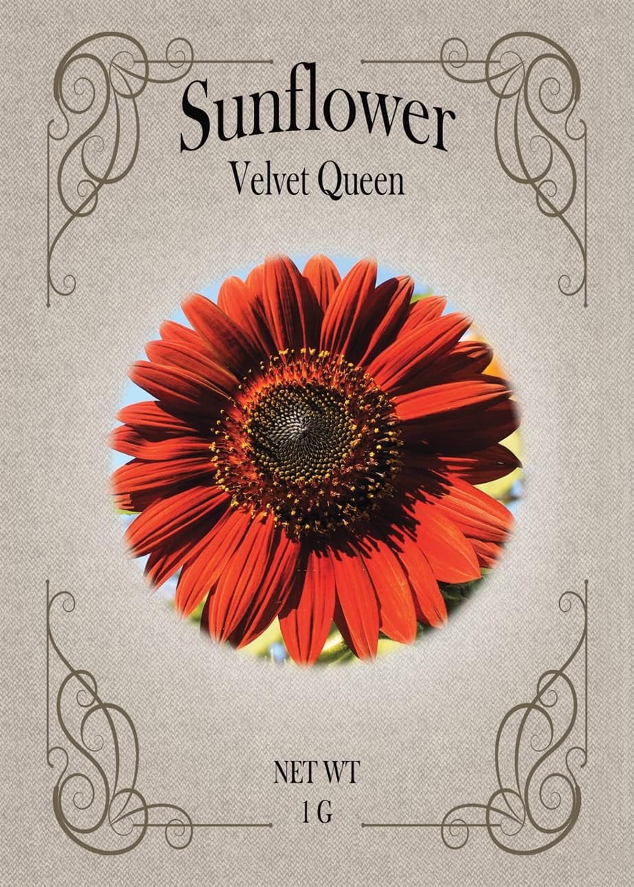 Amazon.com : Set of Velvet Queen Sunflower Seed Packets - Create Your ...