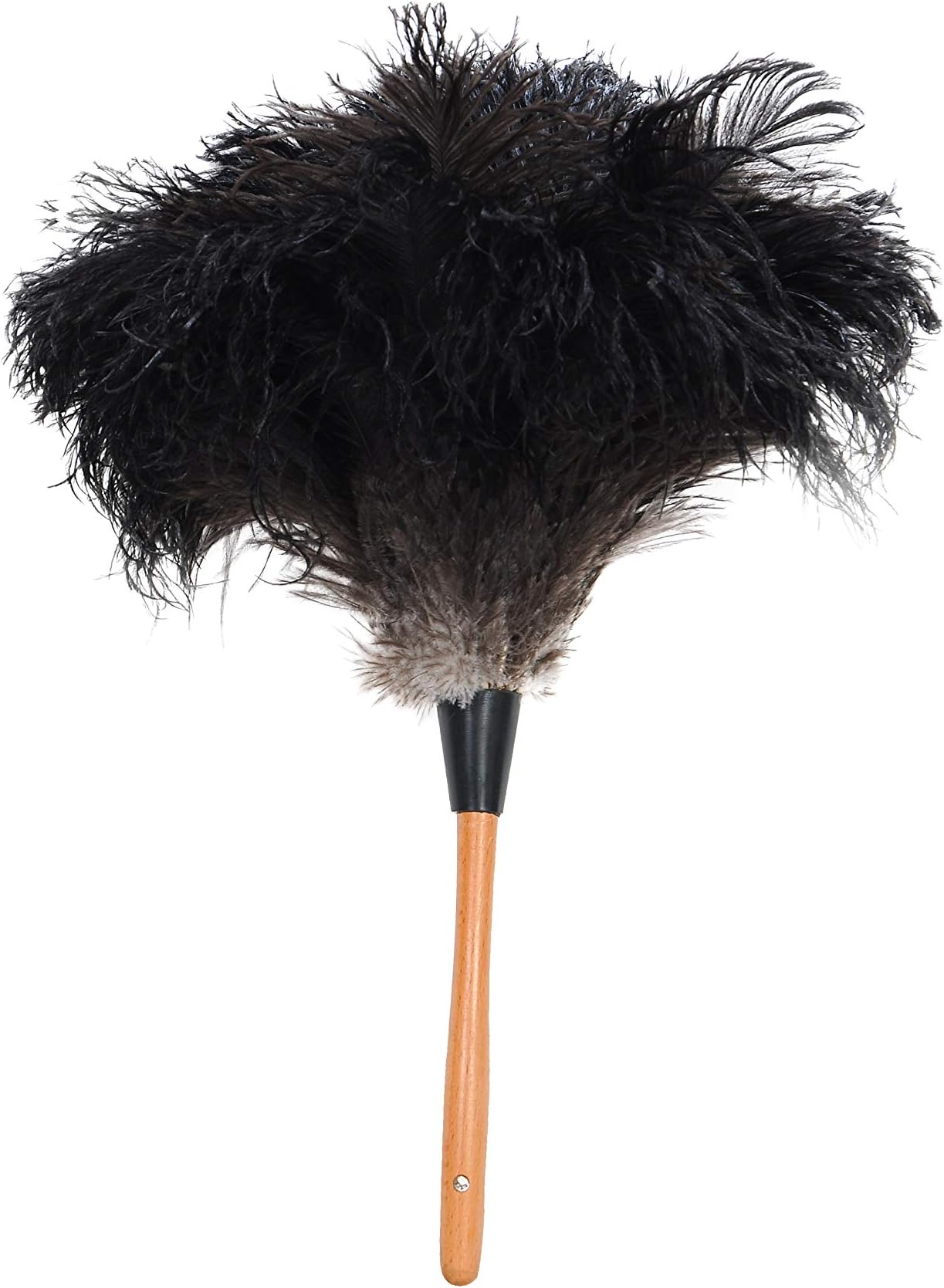 Amazon.com: Royal Duster, Premium Genuine Ostrich Feather Duster, 14 ...