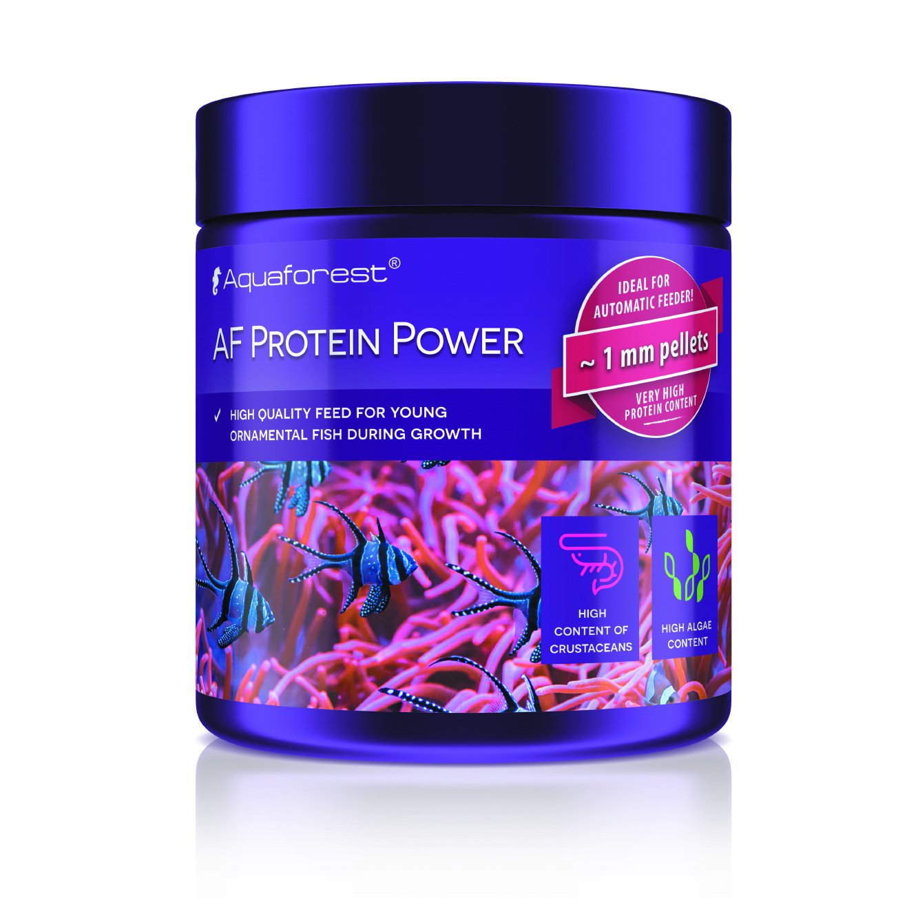Aquaforest Protein Power 120g : Amazon.in: Pet Supplies