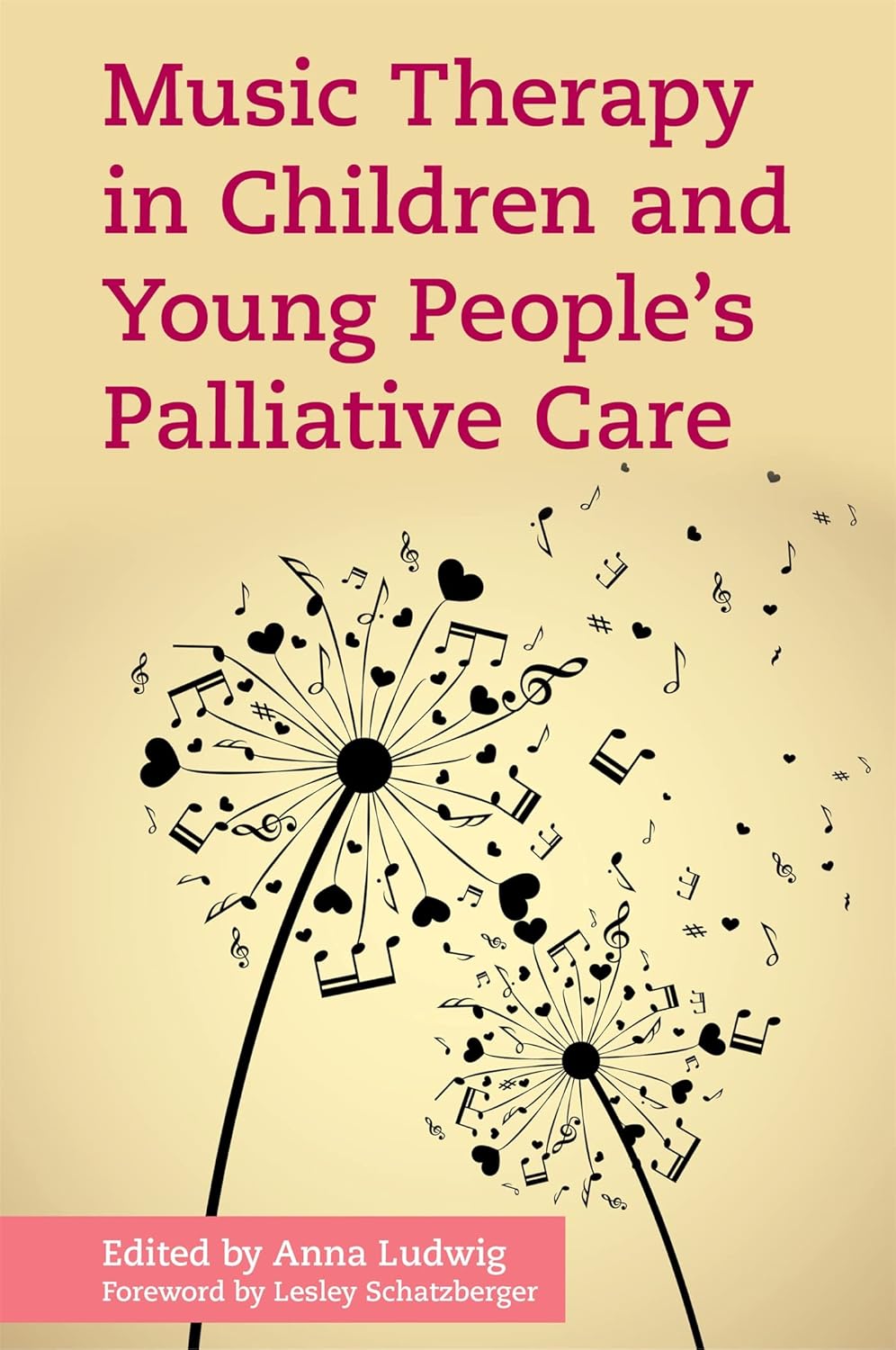Music Therapy in Children and Young People's Palliative Care eBook ...