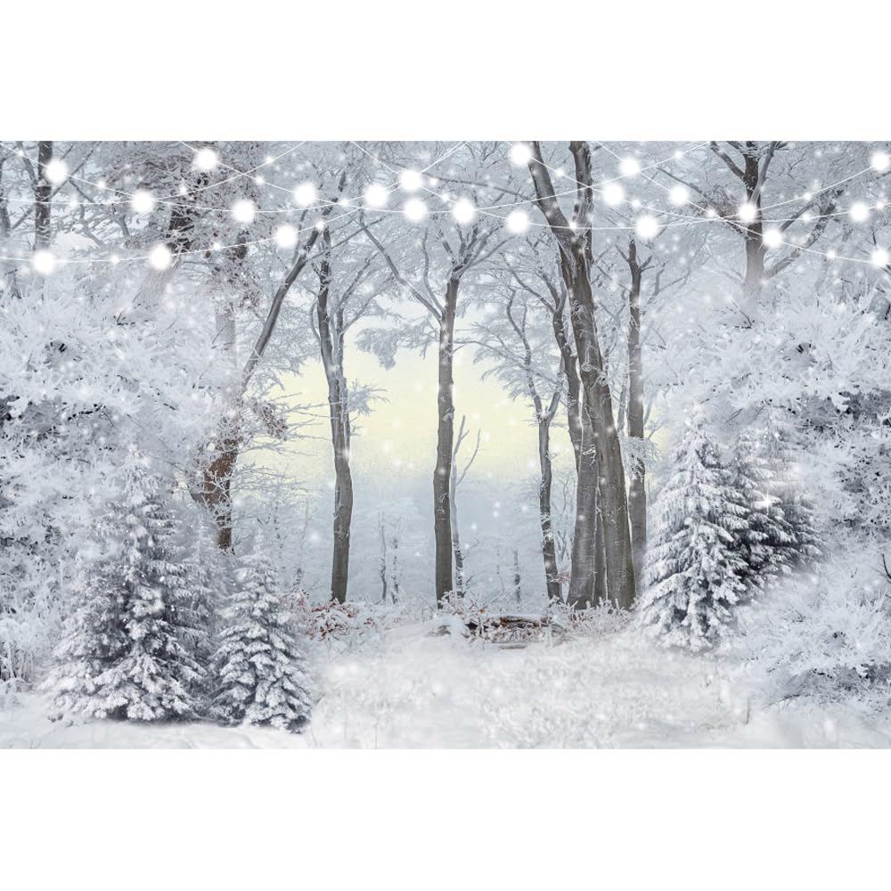 Winter Wonderland Decorations Backdrop
