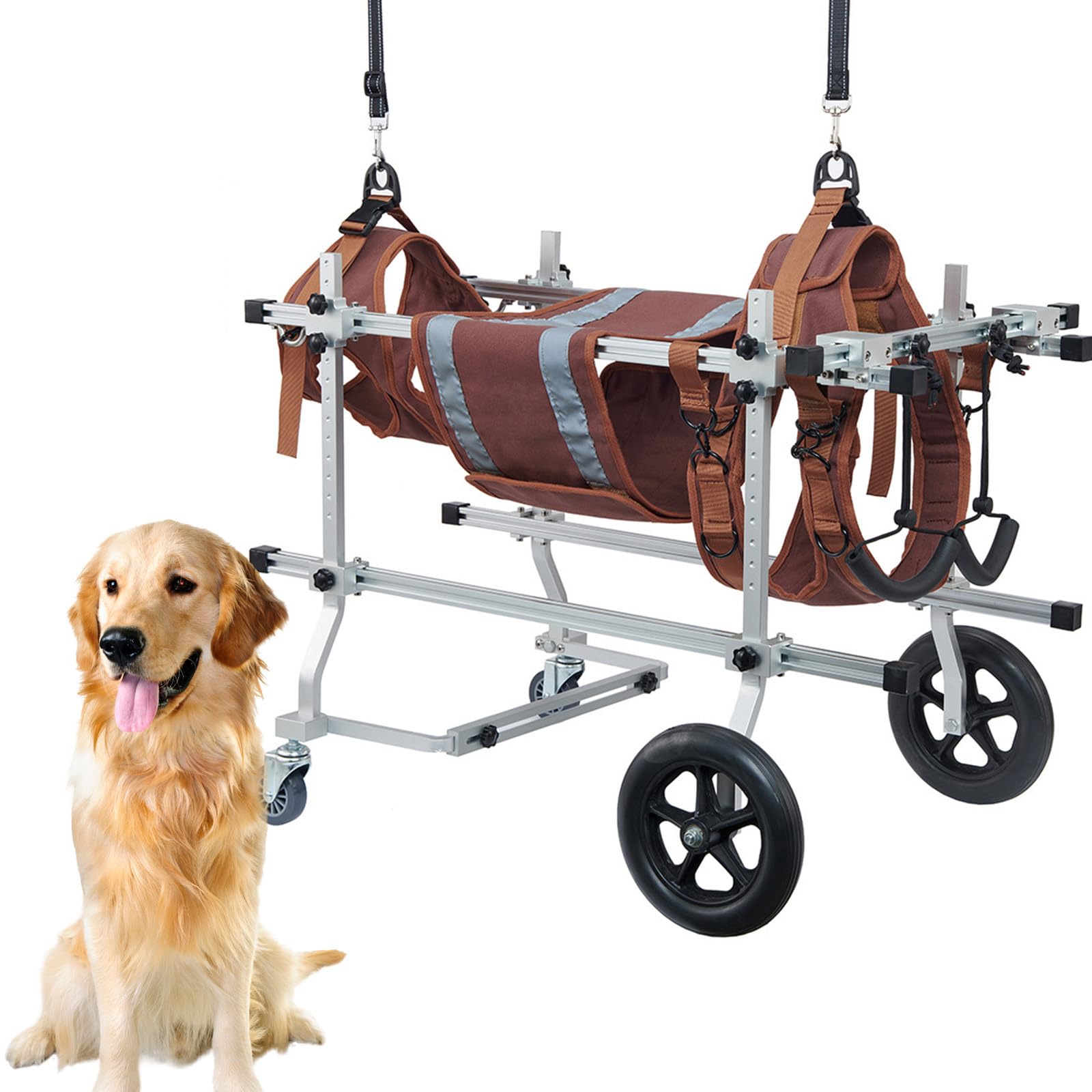 Amazon.com: WDDEYYDS Dog Wheelchair Paralysis Hind Limb Dog Cart ...