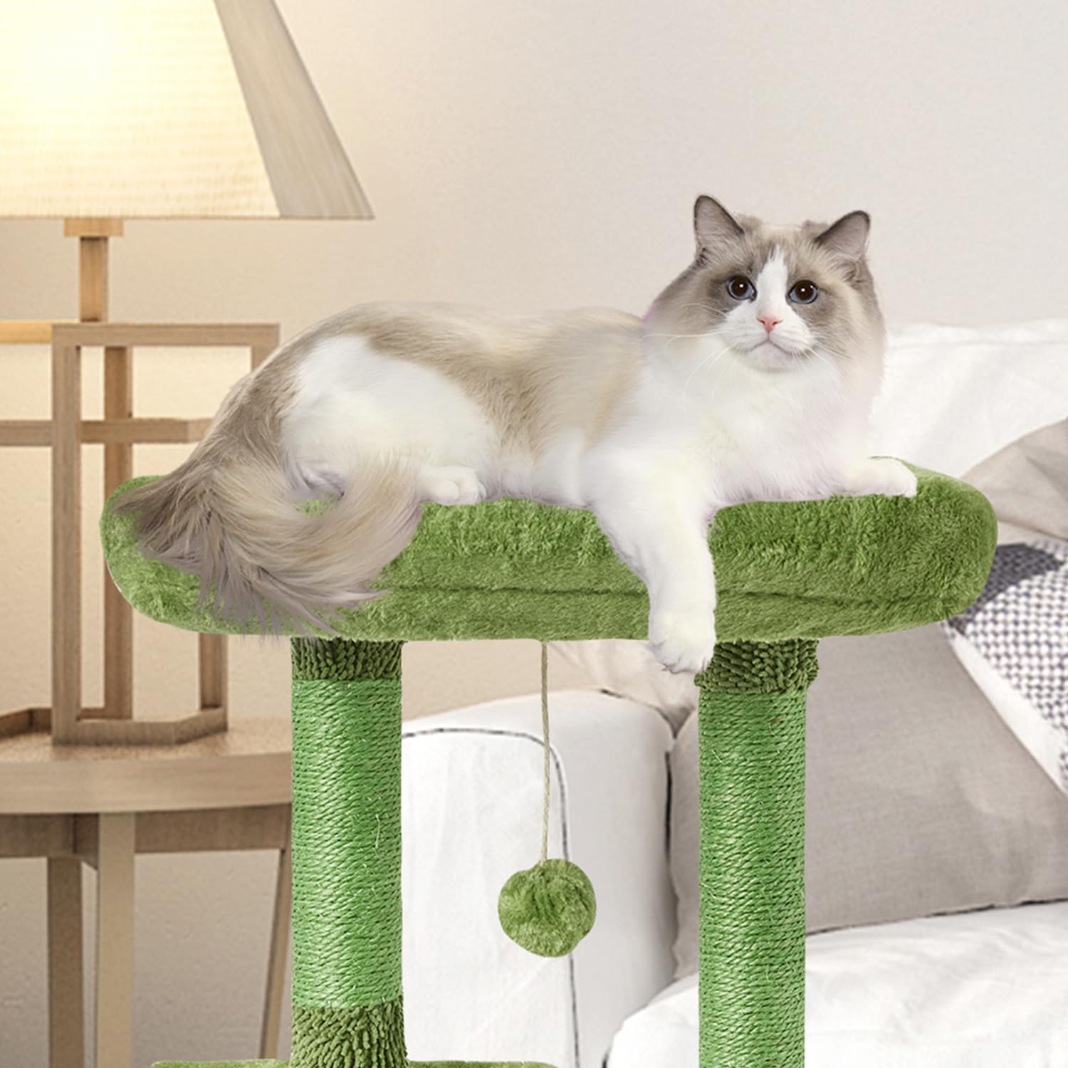 FISH&NAP Cute Cat Tree Kitten Cat Tower for Indoor Cat Condo Sisal ...