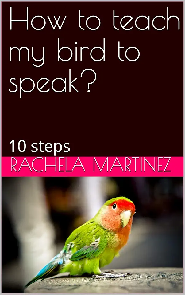 How To Teach Your Budgie Bird To Talk: A Complete Guide | PetShun